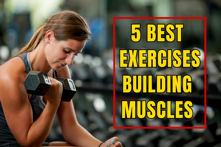 5 Best Exercises for Building Muscles Effortlessly – EnergieFitness