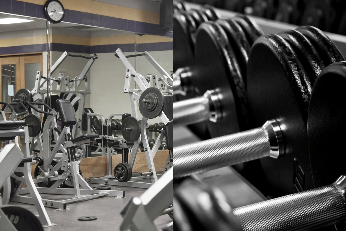 Free Weights vs. Weight Machines: Which Is Best for You? – EnergieFitness