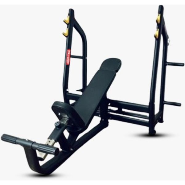 Best Luxury Incline Bench Press Machine - B-25 – EnergieFitness
