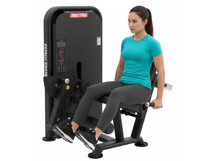 Latest Leg Extension Machine EXT-14 – EnergieFitness