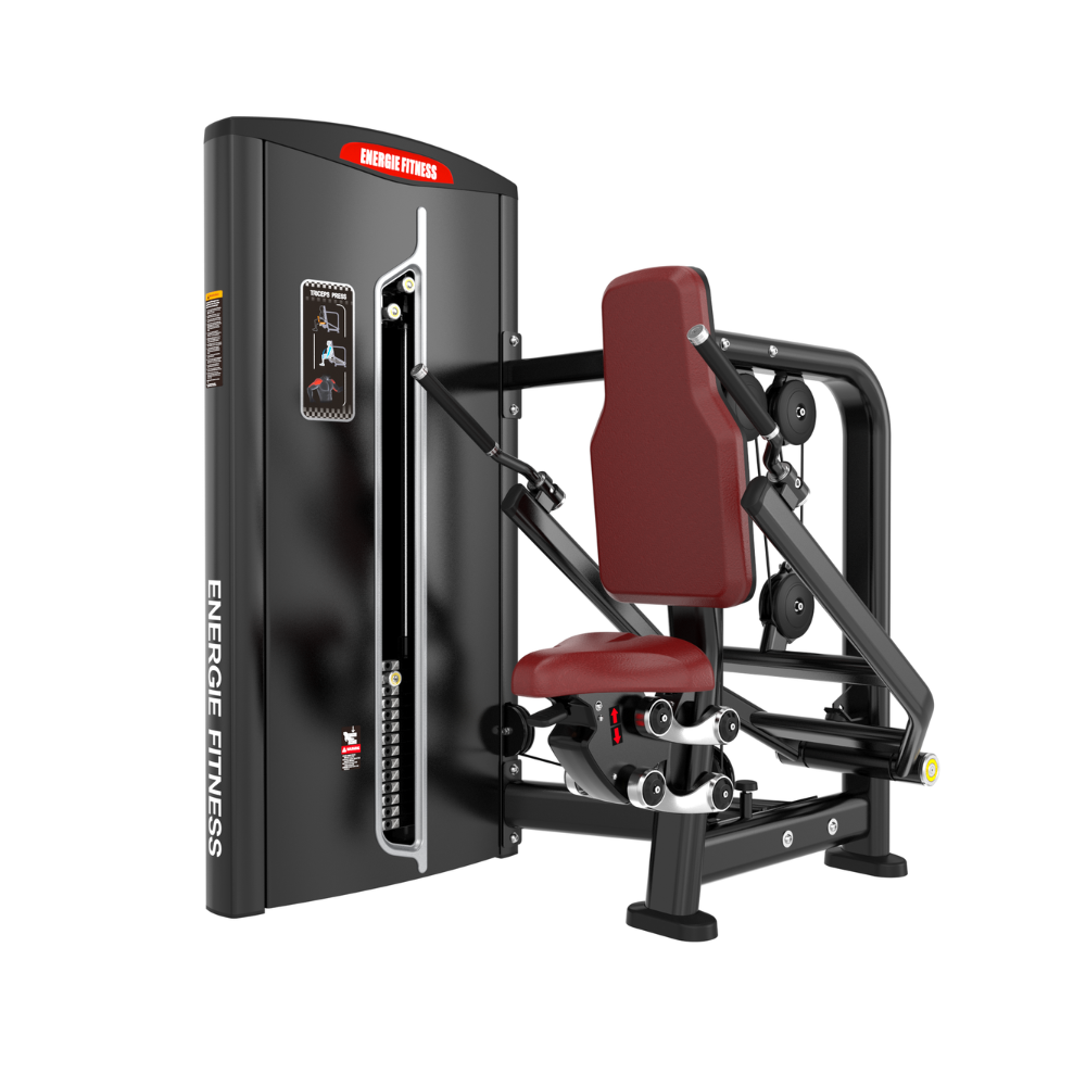 Best Seated Dip Machine ERT-007 – EnergieFitness